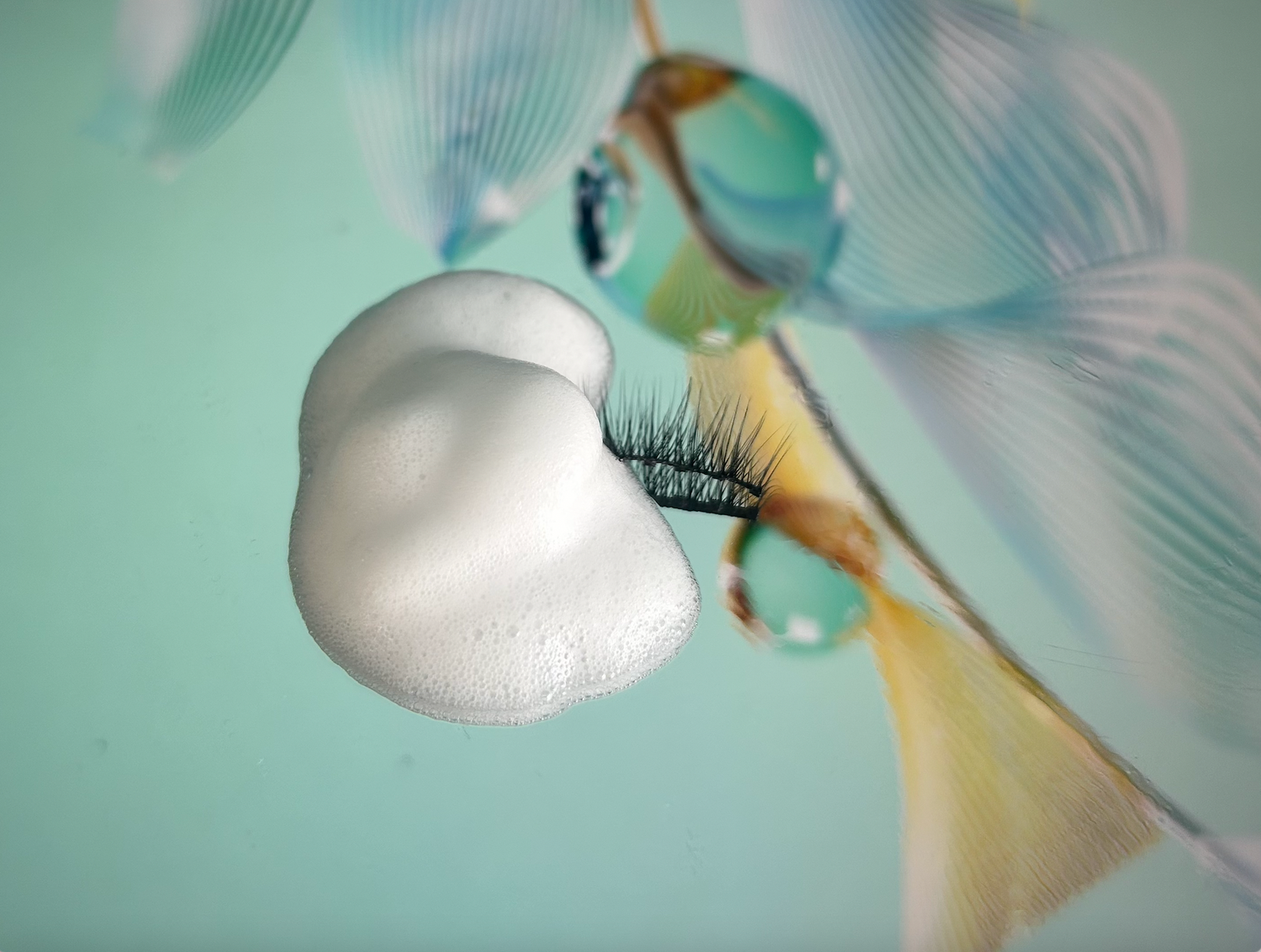 Why it's important to keep your lashes clean! – Lash Armour